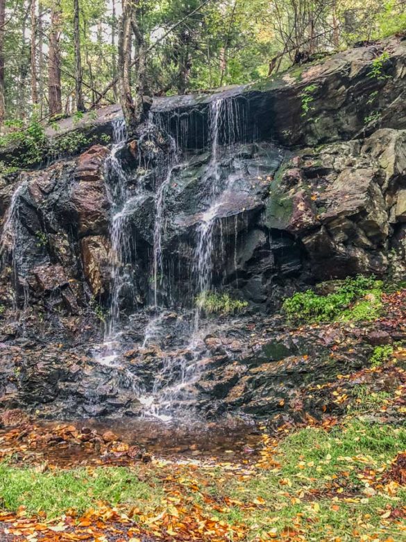 10 Reasons You Should Visit NYC In The Fall - She Discovers the World