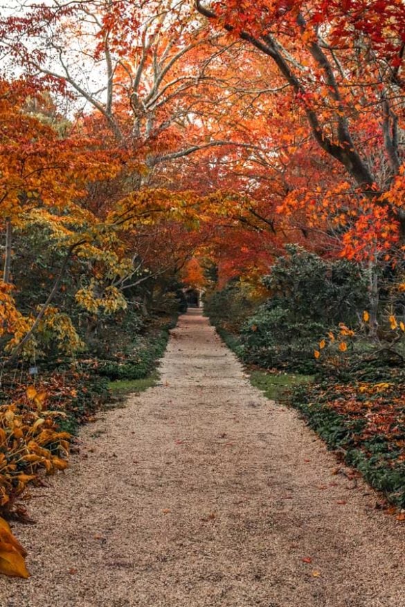 30 Best Things to do on Long Island, New York 2024 - She Discovers the ...