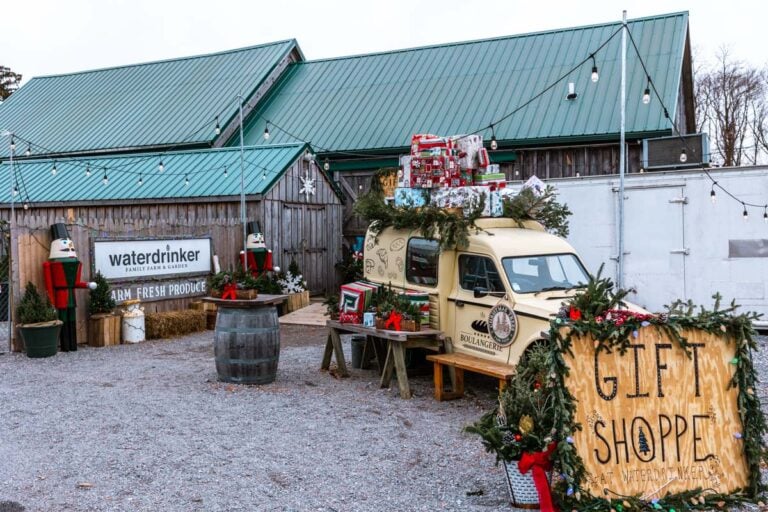 15 Cool Winter Activities on Long Island, NY - She Discovers the World