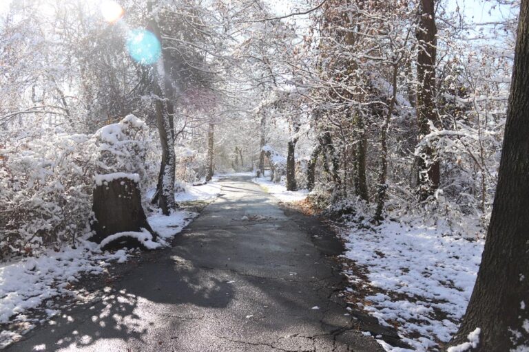 15 Cool Winter Activities on Long Island, NY - She Discovers the World
