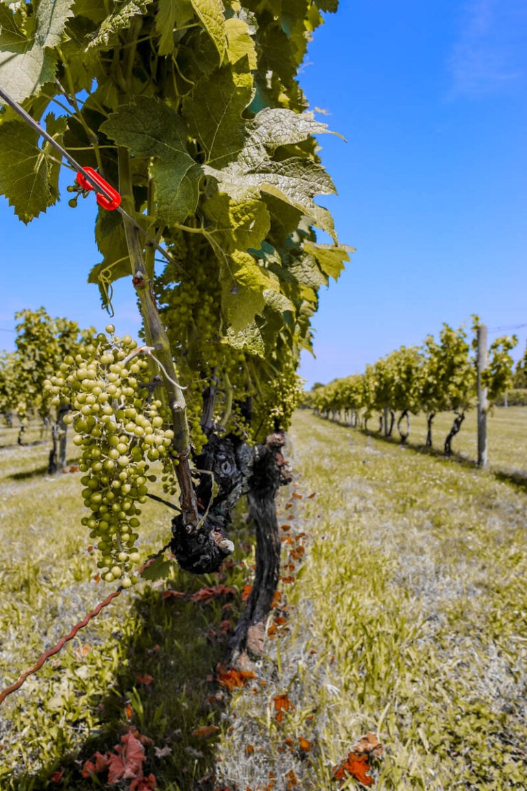 15 Cool Winter Activities on Long Island, NY - She Discovers the World