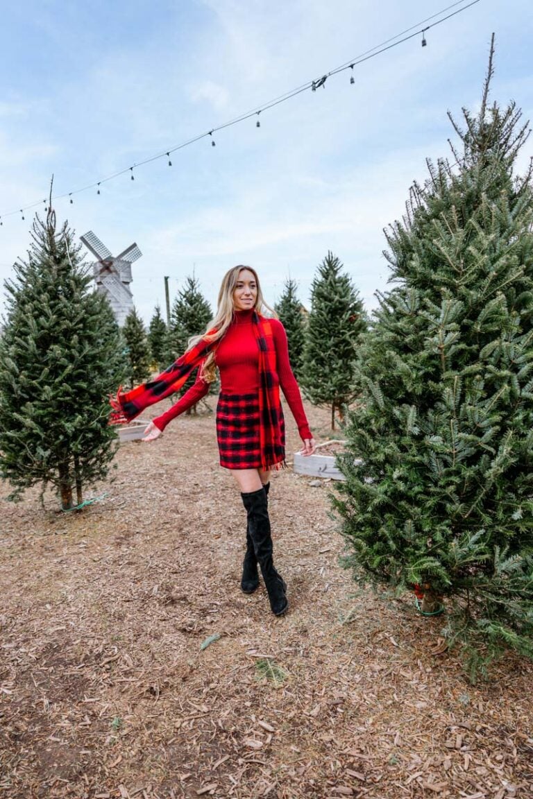 15 Cool Winter Activities on Long Island, NY - She Discovers the World